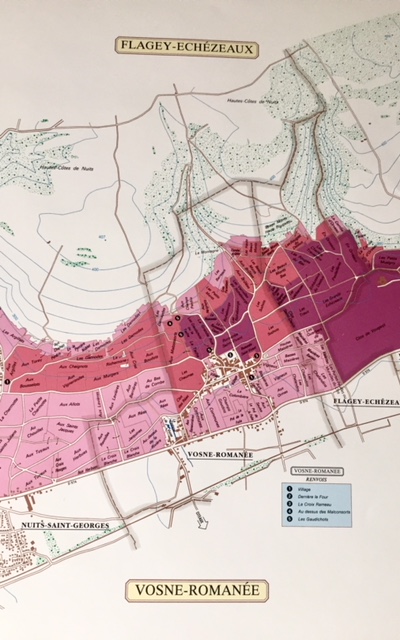 Vosne Romanee: It Hurt Just a Little – Outwines